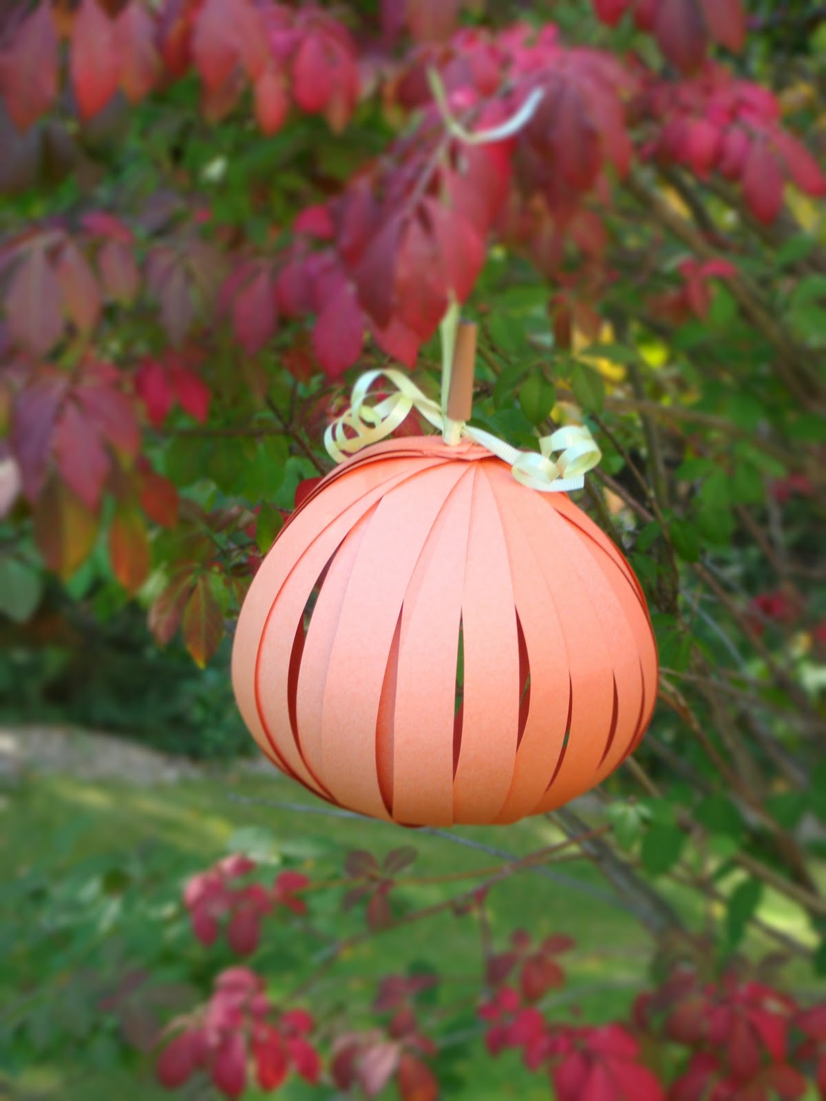 Pumpkins pumpkins