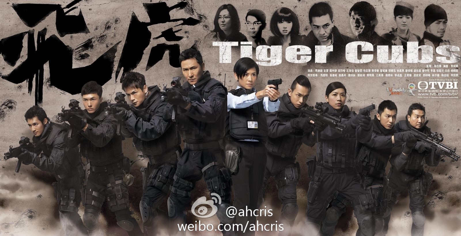 My Favorite TVB: Tiger Cubs Poster