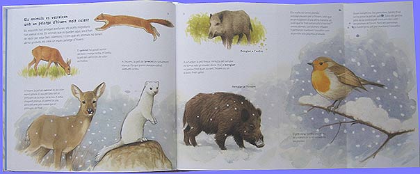 Blog de los niños: ¡Pronto llegará el invierno! Los animales en invierno.