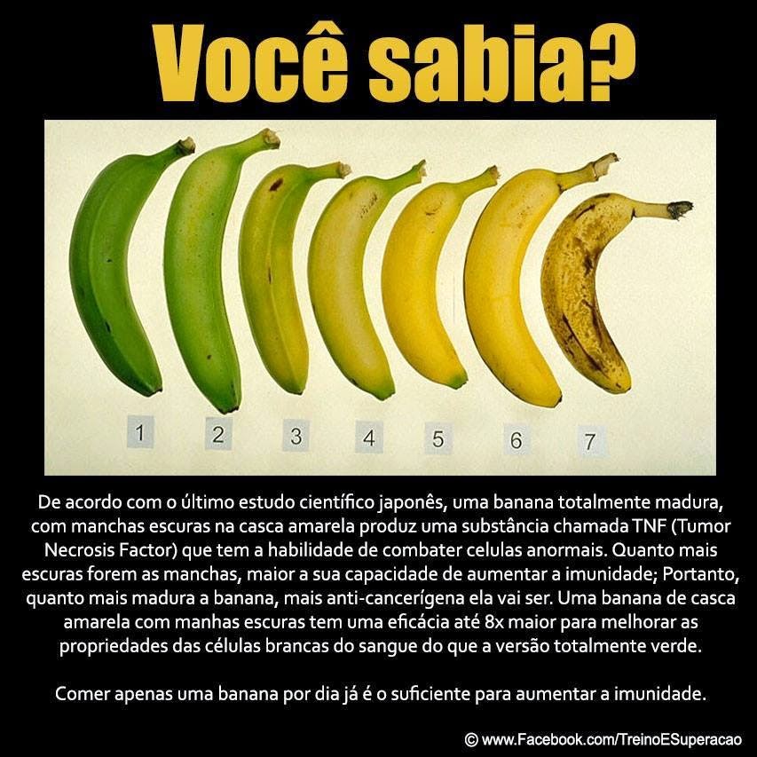 Neide Furukawa - Blog Crescendo e Vivendo : Os benefícios da banana (Hélcio Gangana Personal ...