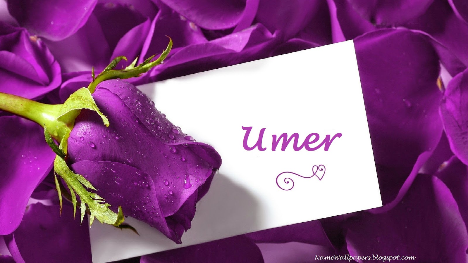 Umer Name Wallpapers Umer ~ Name Wallpaper Urdu Name Meaning Name Images Logo Signature