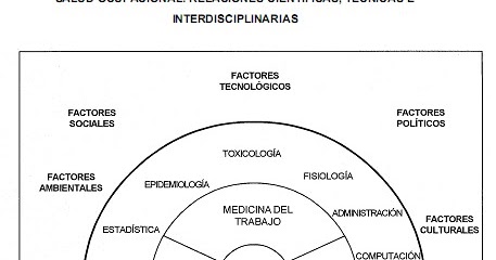 Enfoque Ocupacional en la Red.Salud y Seguridad Laboral: Salud Ocupacional: Relaciones ...