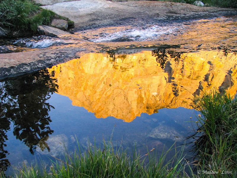 SAVOR THE DAY: Living Your Truest Self SAVOR THE DAY: Living Your Truest Self