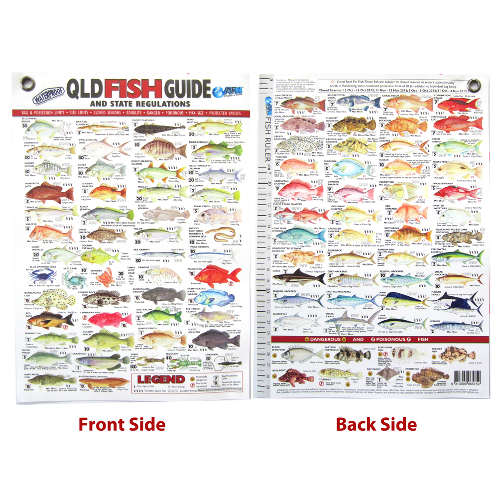 Survive The Elements AFN QUEENSLAND Fish Guide ID Card Waterproof And survive-the-elements-afn-queensland-fish-guide-id-card-waterproof-and