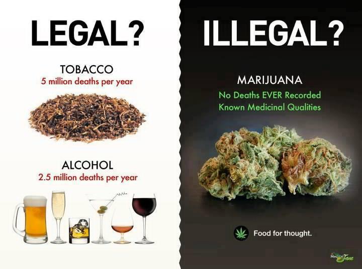 Jobsanger Prohibition Enriches Powerful Groups jobsanger-prohibition-enriches-powerful-groups