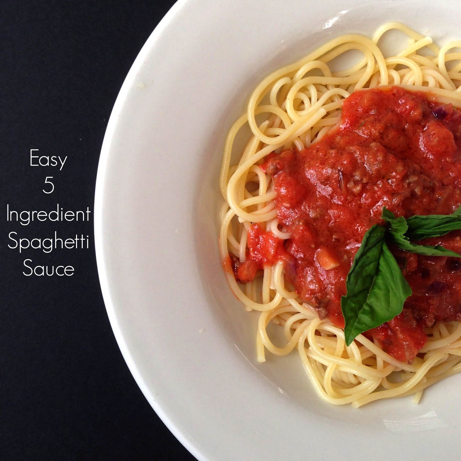 Easy 5 Ingredient Spaghetti Sauce Alfa Sengupta easy-5-ingredient-spaghetti-sauce-alfa-sengupta