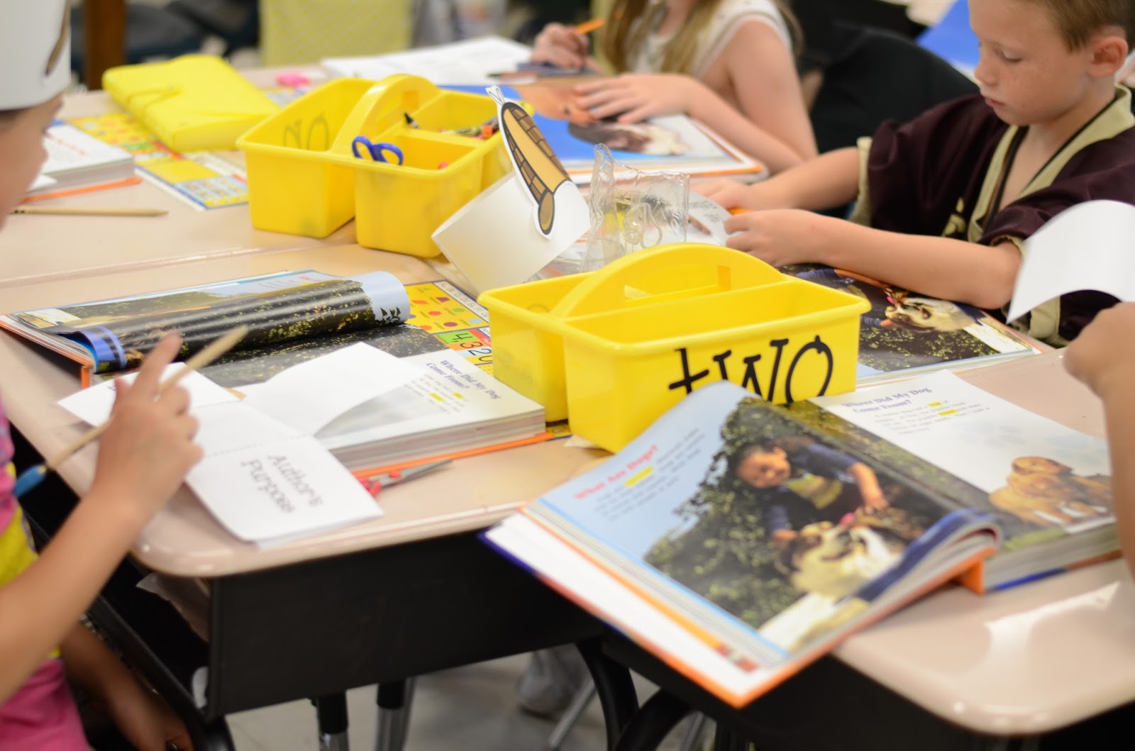 Author's Purpose and a Little Catch-Up! | The Lemonade Stand