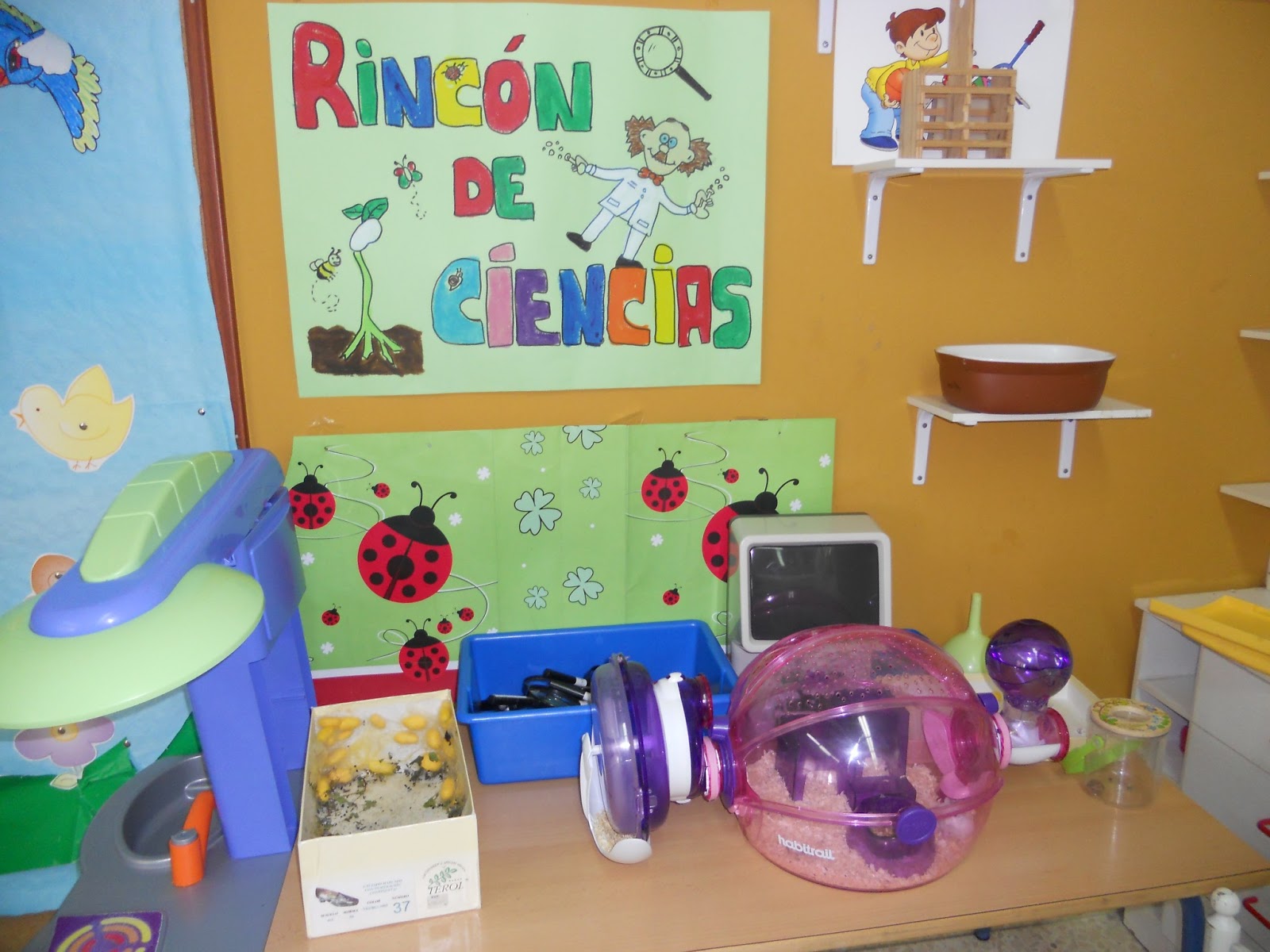 Duendes Mágicos: RINCÓN DE CIENCIAS