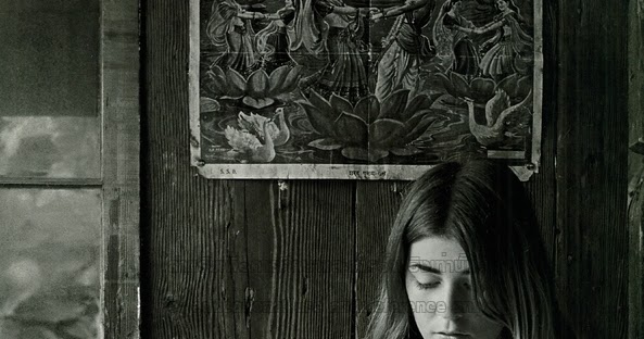 Blogtrotter: John Wehrheim's "Taylor Camp": Book Review