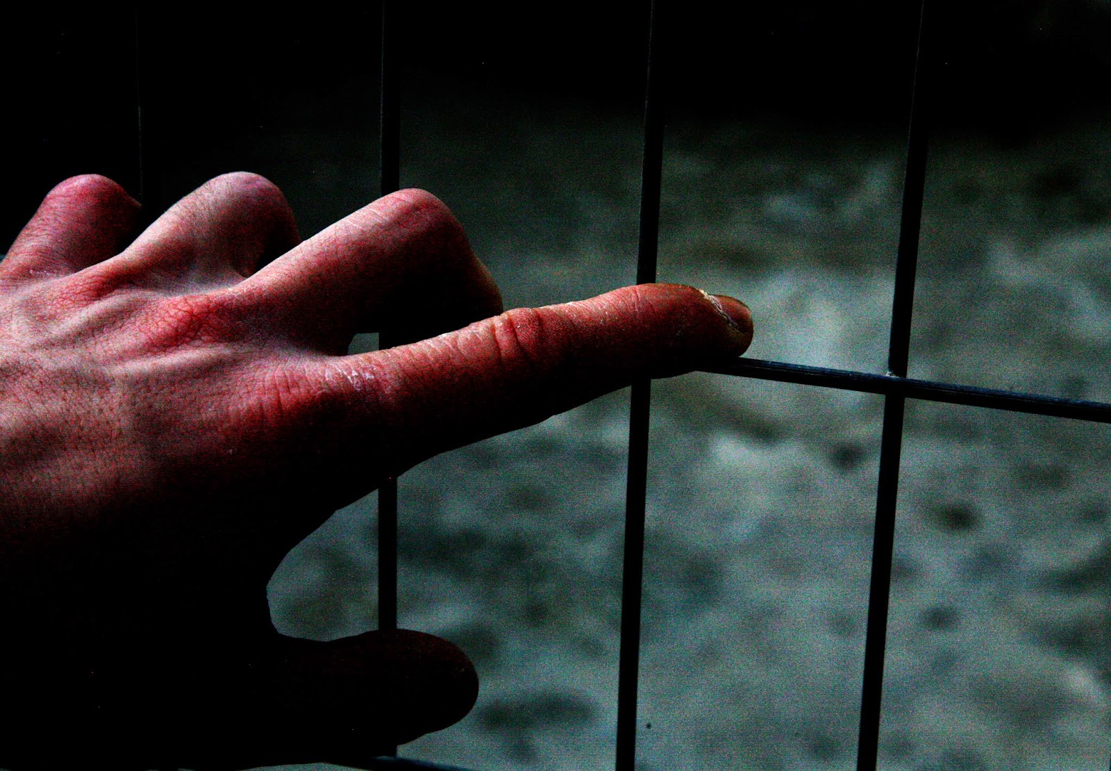 PROFESSIONAL FRAMEWORKS 2