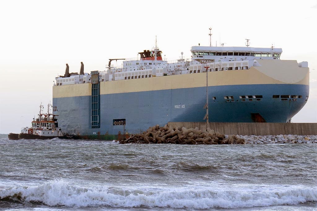 Livorno Daily Photo: Violet Ace