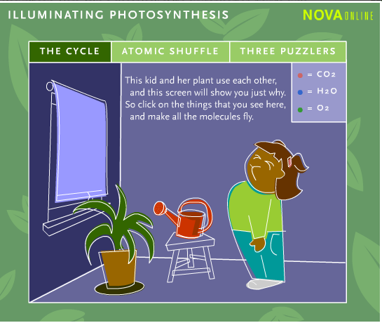 7th Grade Science 2014-2015: Photosynthesis Webquest