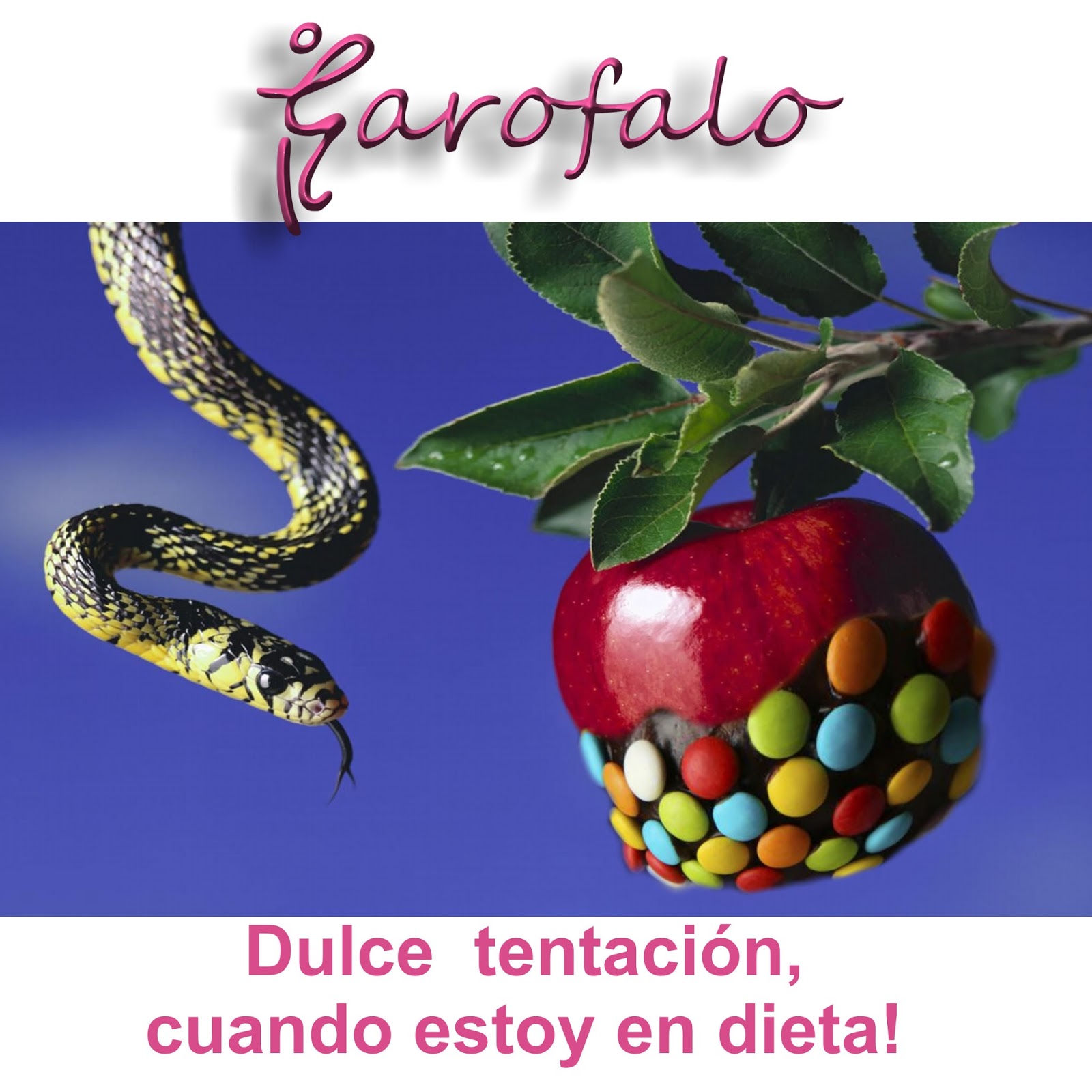 Estética y Nutrición Garofalo.: Dulce tentación, cuando estoy en dieta Estética y Nutrición Garofalo.: Dulce tentación, cuando estoy en dieta