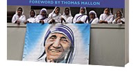 Abhinav Agarwal: The Missionary Position: Mother Teresa in Theory and ...