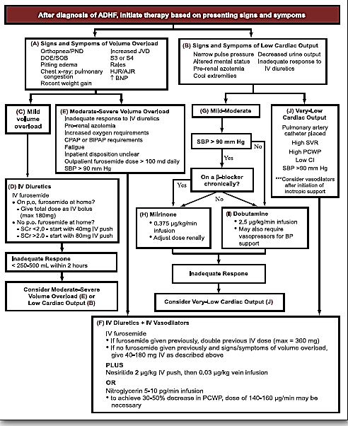 Welcome To Edi Ikhsan's Blog: ACUTE DECOMPENSATED HEART FAILURE (ADHF)