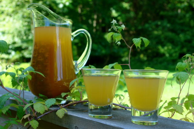 Chicha de piña – Tembi'u Paraguay Chicha de piña – Tembi'u Paraguay