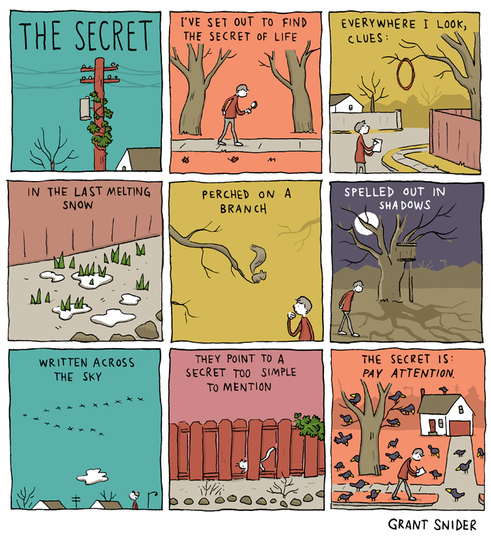 INCIDENTAL COMICS: The Secret