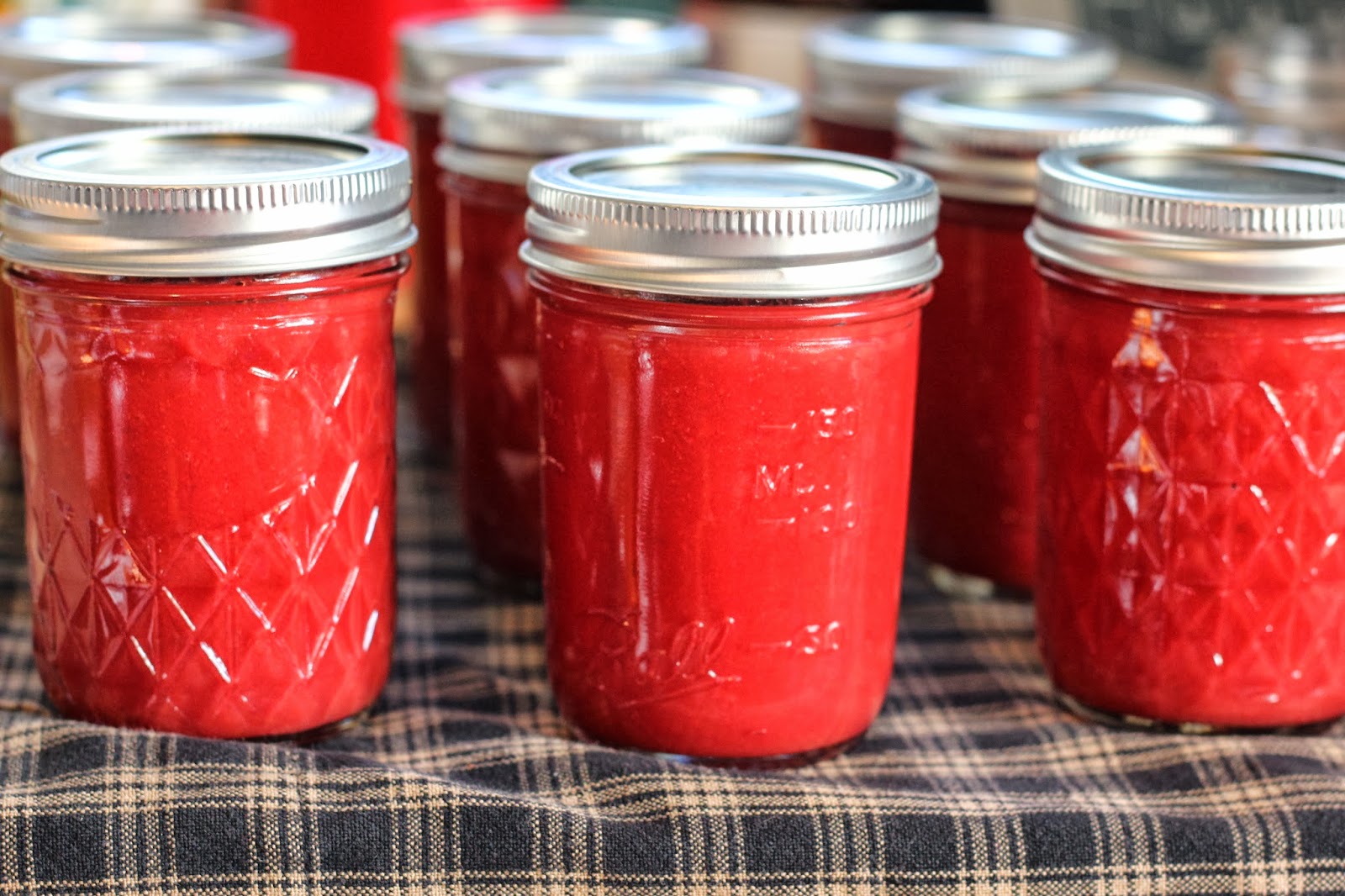 just a mouse house: Autumn Olive Jelly (Autumnberry Jelly)