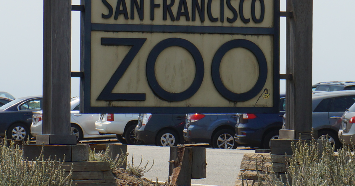 Exploring the San Francisco Zoo