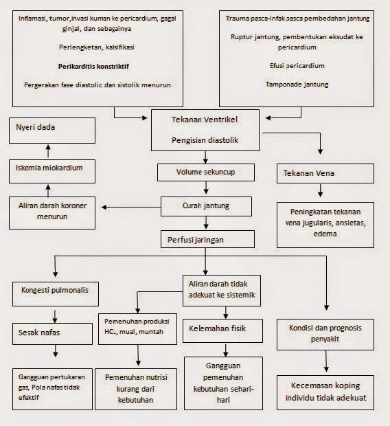 Pathway Perikarditis - Pathway Patofisiologi