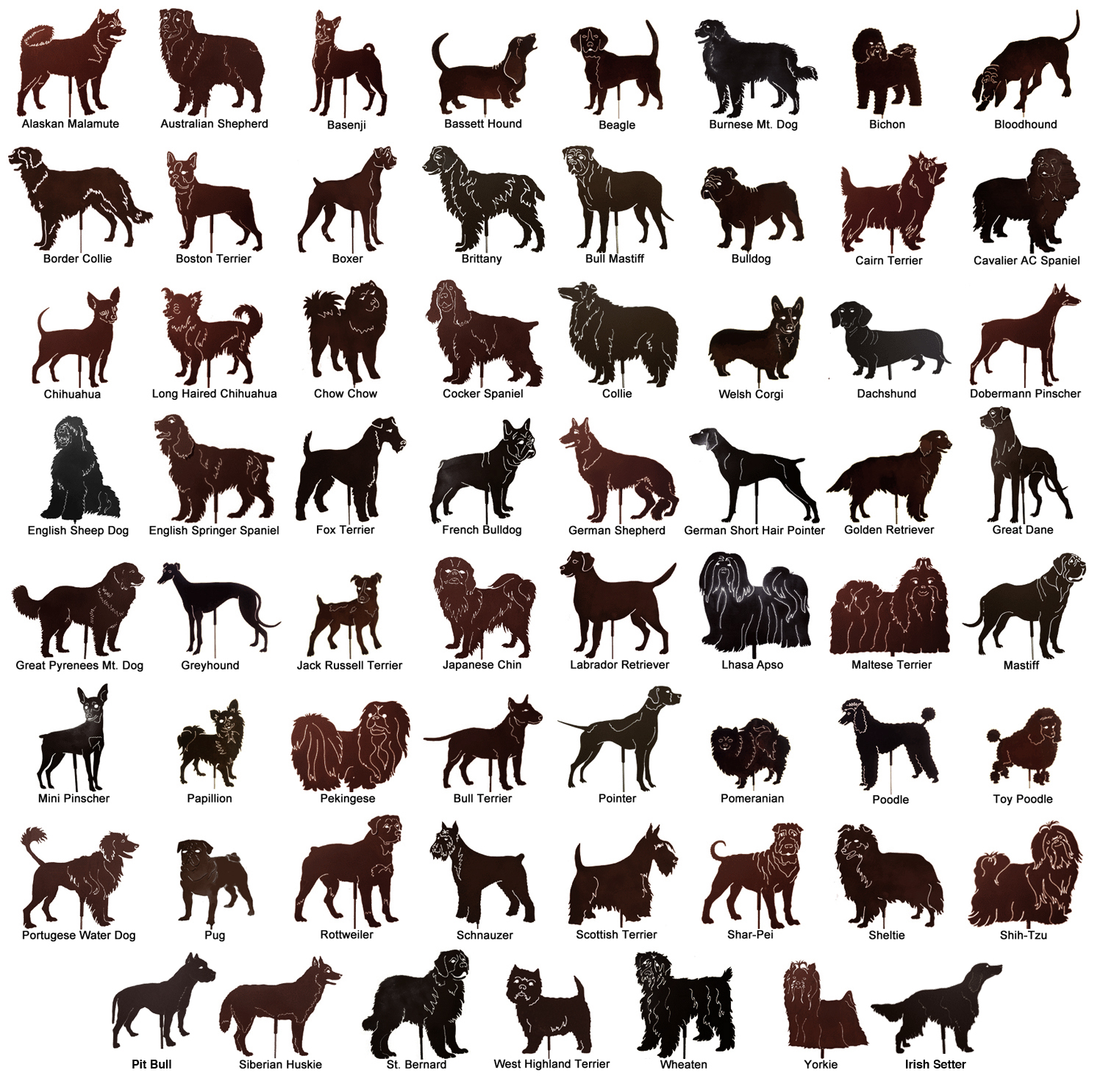 Todas Las Razas De Perros Y Sus Nombres Actualizado S Vrogue co todas-las-razas-de-perros-y-sus-nombres-actualizado-s-vrogue-co