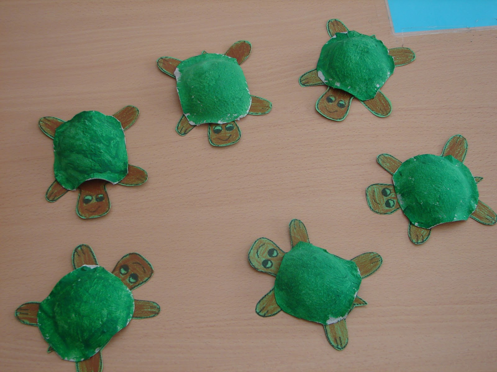 MANUALIDAD TORTUGA - Imagui