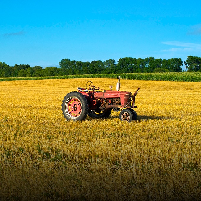 o-Afacere: Idei de afaceri pentru fermieri o-Afacere: Idei de afaceri pentru fermieri