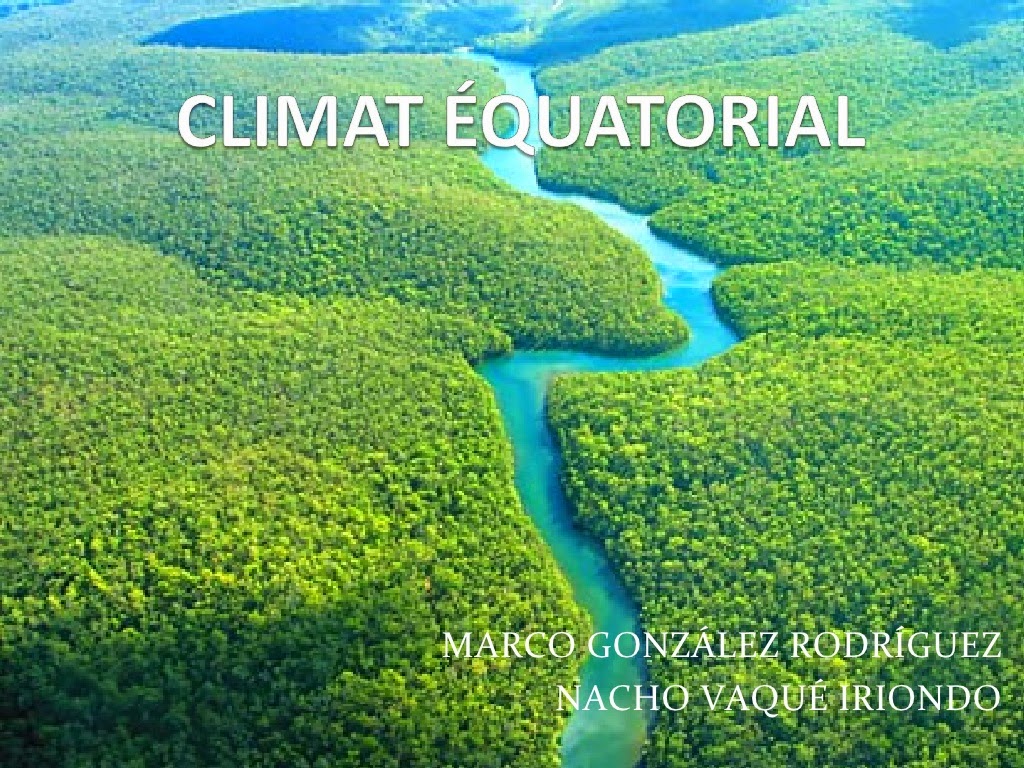 Los mochuelos de Mari Sierra: clima ecuatorial