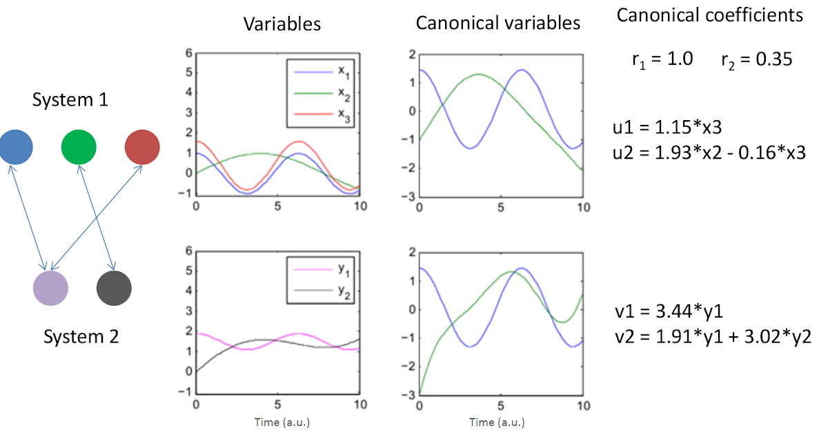 Canonical correlation analysis (CCA): a simple example | Pepe’s Code Delicias