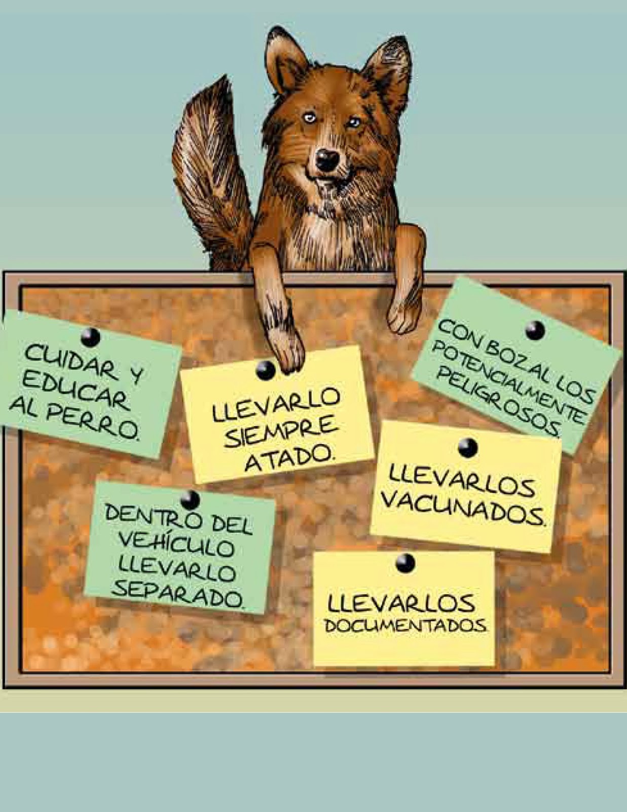 Consejos para salir a pasear a tu perro - Mascoblog Consejos para salir a pasear a tu perro - Mascoblog