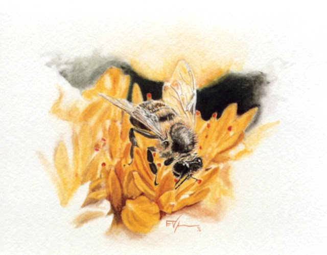 Comunidad de foros de Apicultura - EL PASO DE ABEJA - Textos para iniciarse Comunidad de foros de Apicultura - EL PASO DE ABEJA - Textos para iniciarse