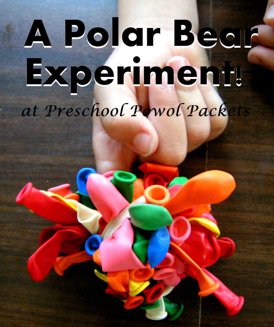 Polar Bear Fur Experiment Poppins Book Nook Preschool Powol Packets polar-bear-fur-experiment-poppins-book-nook-preschool-powol-packets
