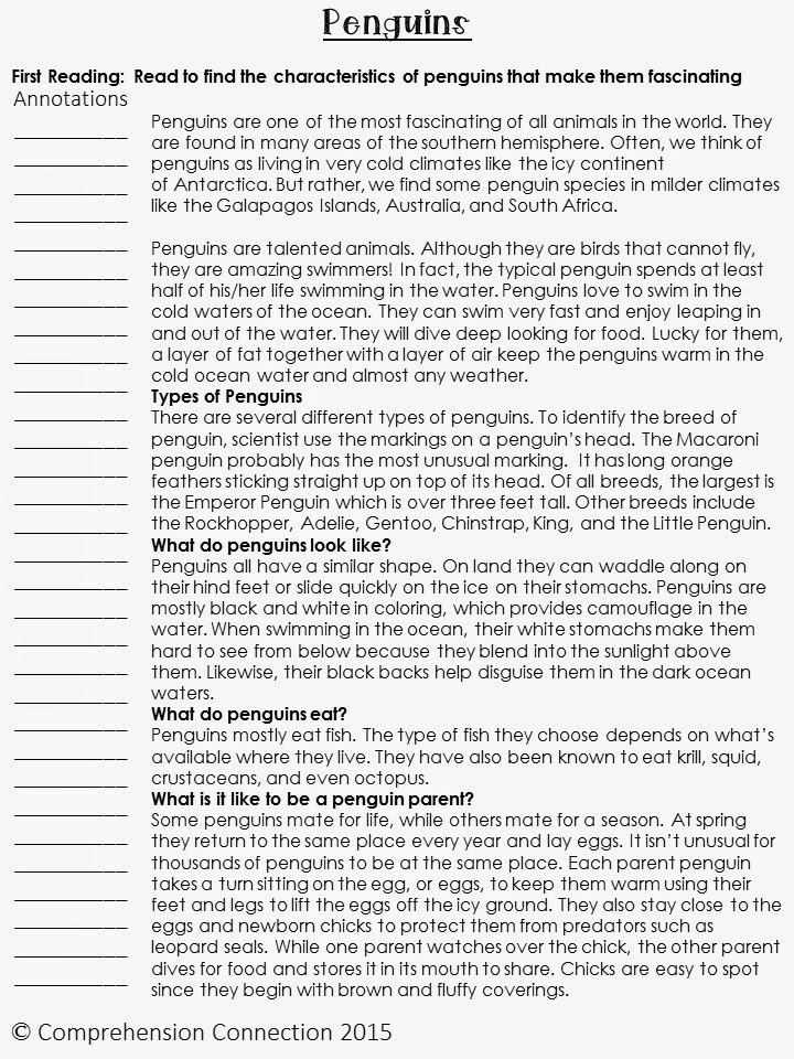 Close Reading With Arctic Animals