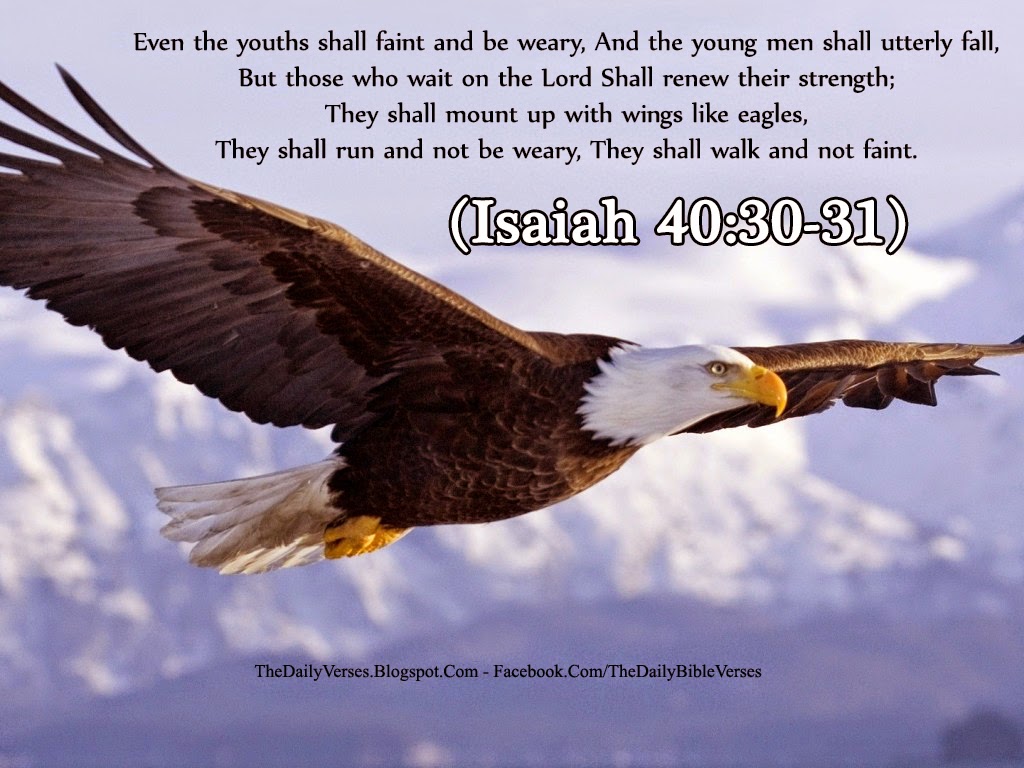 Daily Bible Verses Isaiah 40 30 31 daily-bible-verses-isaiah-40-30-31