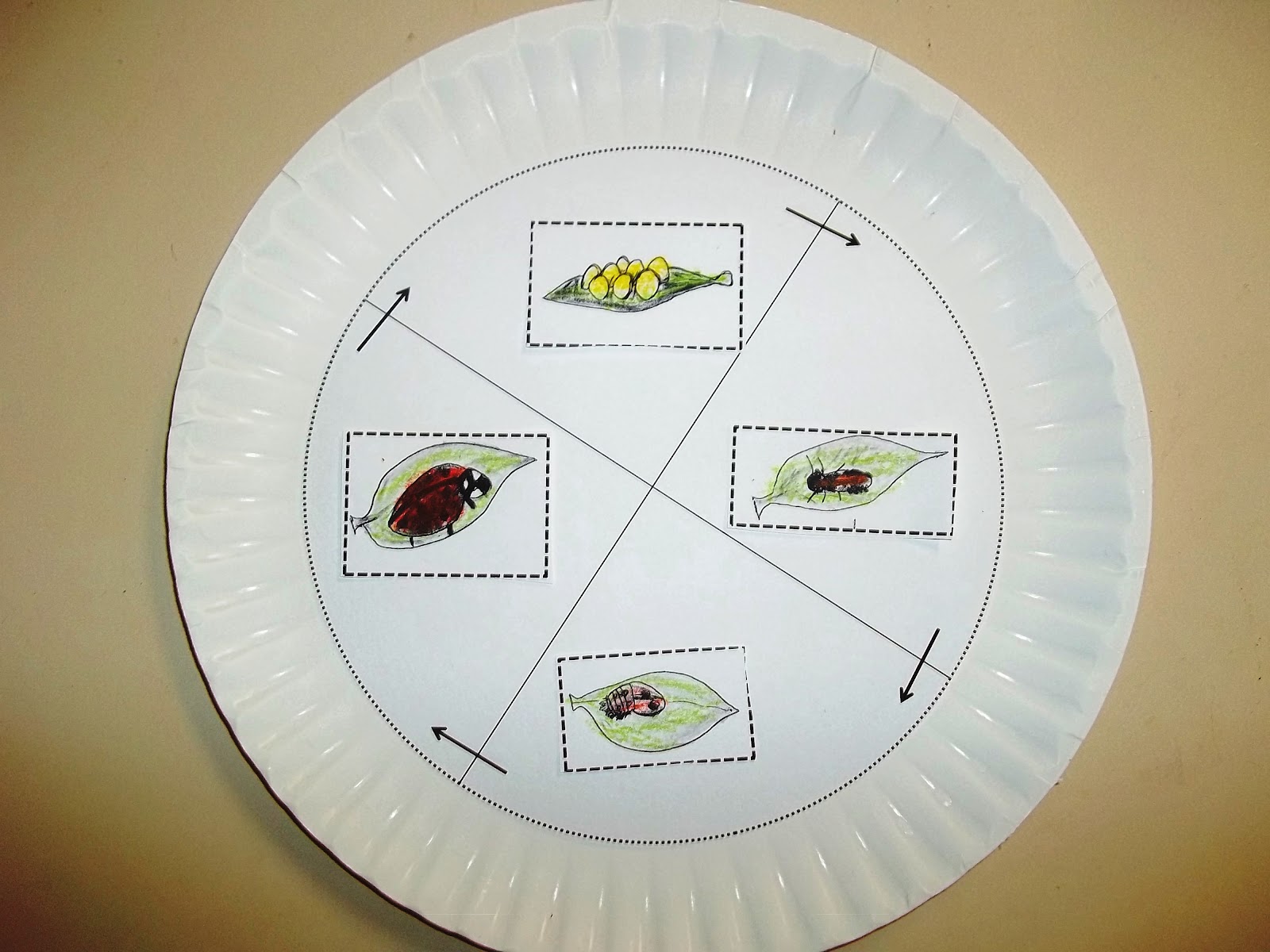 Sweet Tea Classroom: Ladybugs in the Classroom