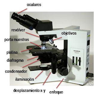 -Operar Instrumentos de Laboratorio Clínico: -Uso del microscopio