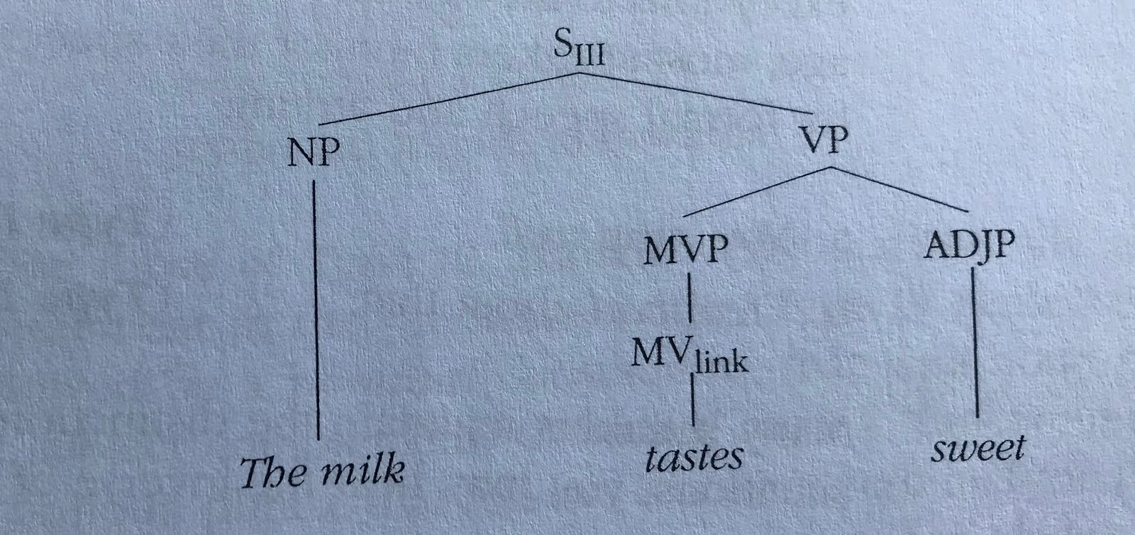 TYPE III THE LINKING VERB TYPE WITH ADJECTIVAL SUBJECT COMPLEMENT type-iii-the-linking-verb-type-with-adjectival-subject-complement