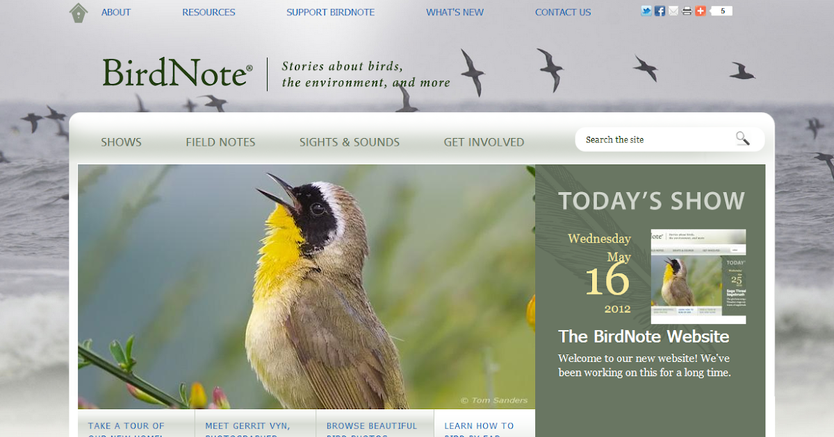Birding Is Fun!: BirdNote.org Updated Website