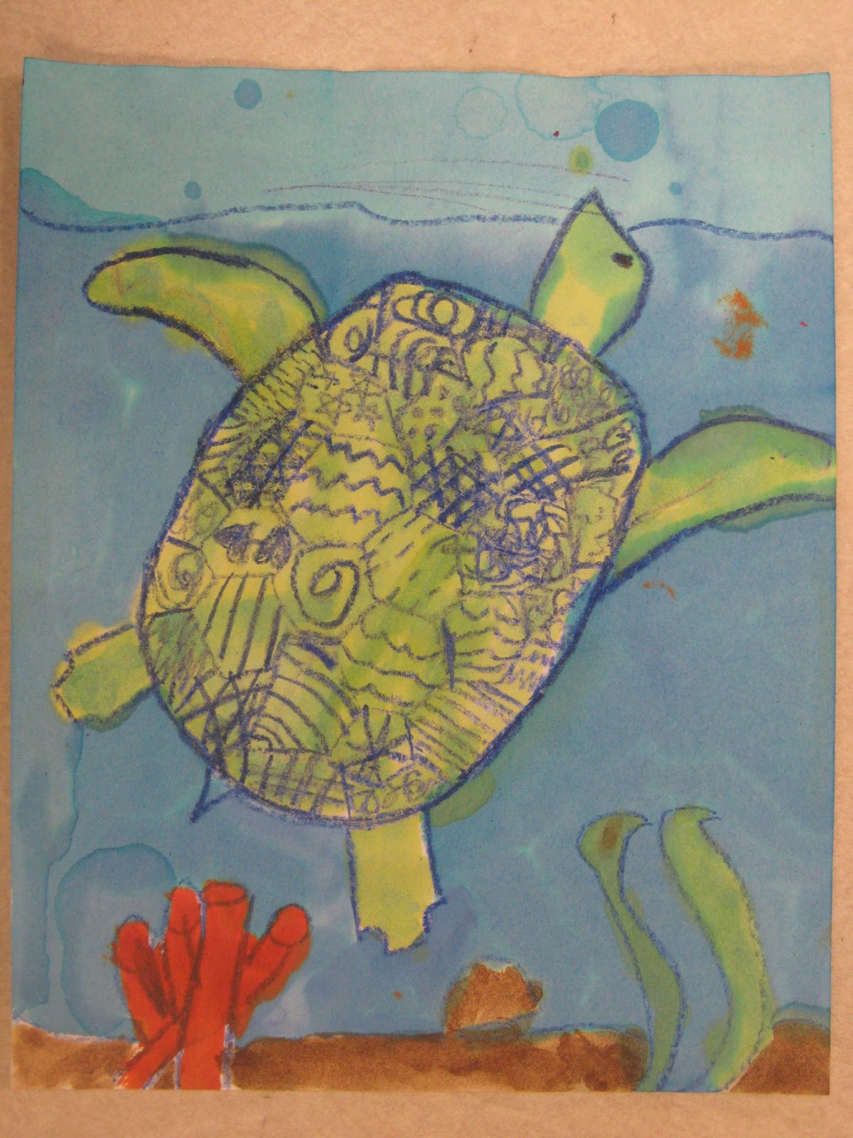 Miss Young's Art Room: 3rd Grade Patterned Sea Turtles