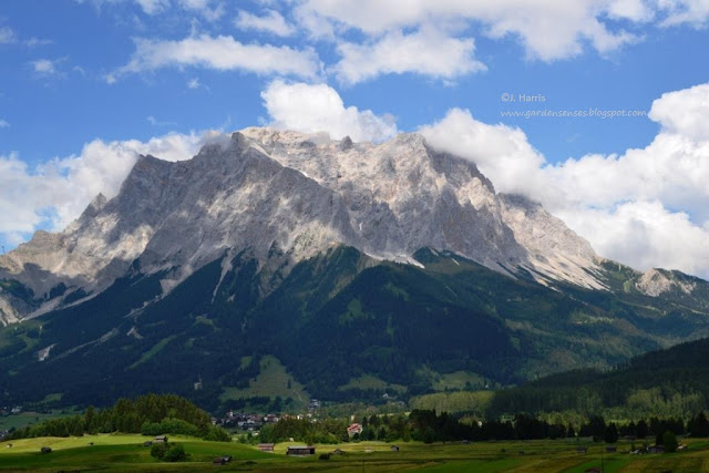 Garden Sense God s Garden In Austria garden-sense-god-s-garden-in-austria