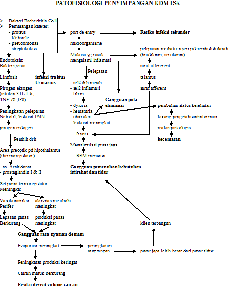 PATOFLOW: patoflow isk