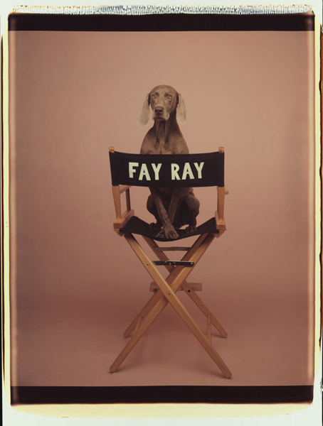 Aujourd´hui Valéry: Fay Ray the World’s Most Photogenic Dog_by William Wegman