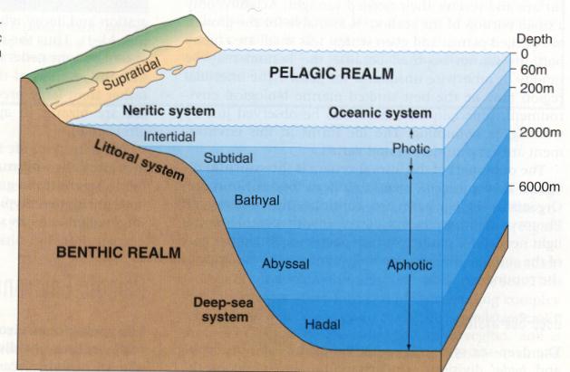 MMA Sea Term Follow The Voyage FTV 2 18 2 12 Ocean Zones mma-sea-term-follow-the-voyage-ftv-2-18-2-12-ocean-zones