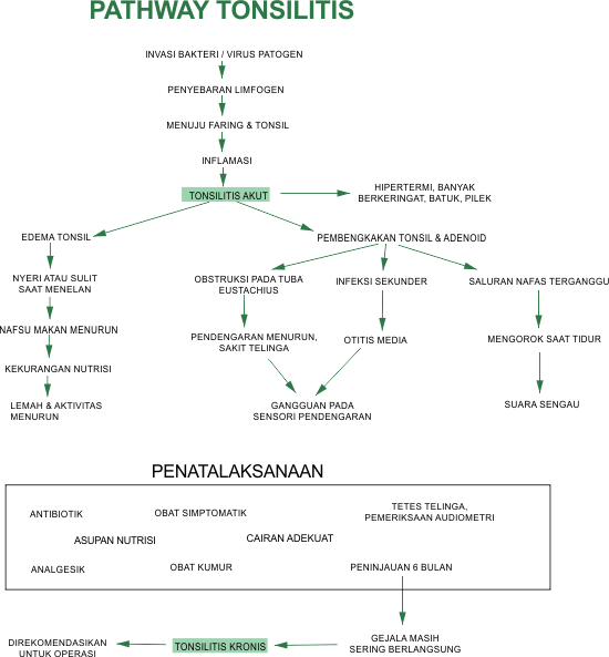 Pathway Tonsilitis, Gambar dan Penjelasannya | Penyakit Tonsilitis