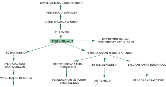Pathway Tonsilitis, Gambar dan Penjelasannya | Penyakit Tonsilitis