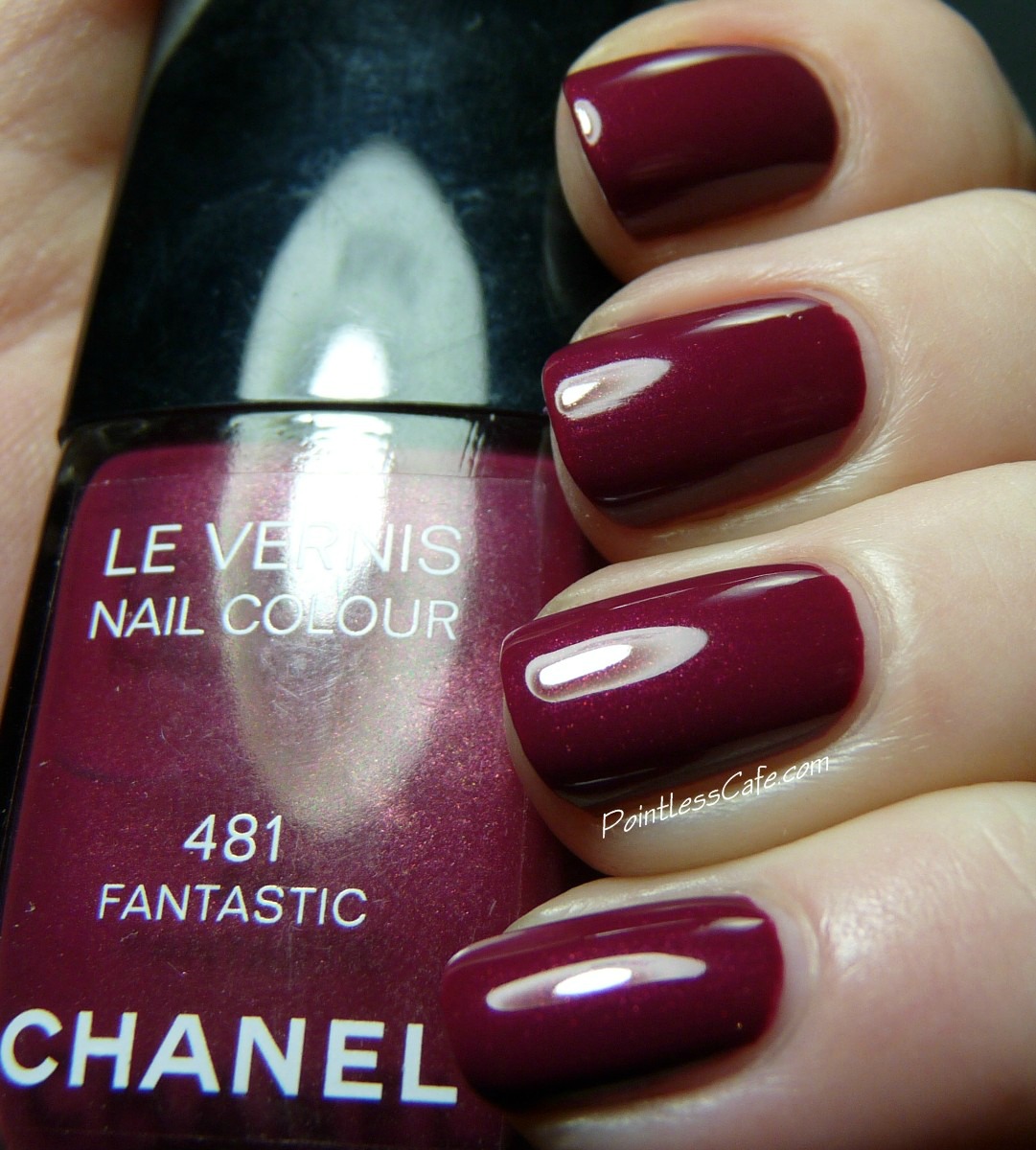 Nail of the Day: Chanel Fantastic #481 | Pointless Cafe
