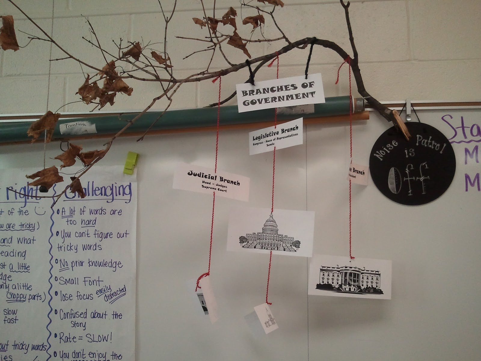 3 Branches Of Government Project