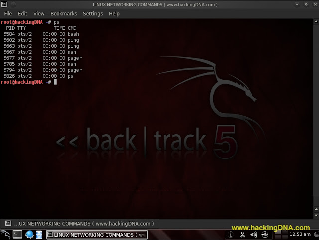 HackingDNA: LINUX NETWORKING COMMANDS ON BACKTRACK 5