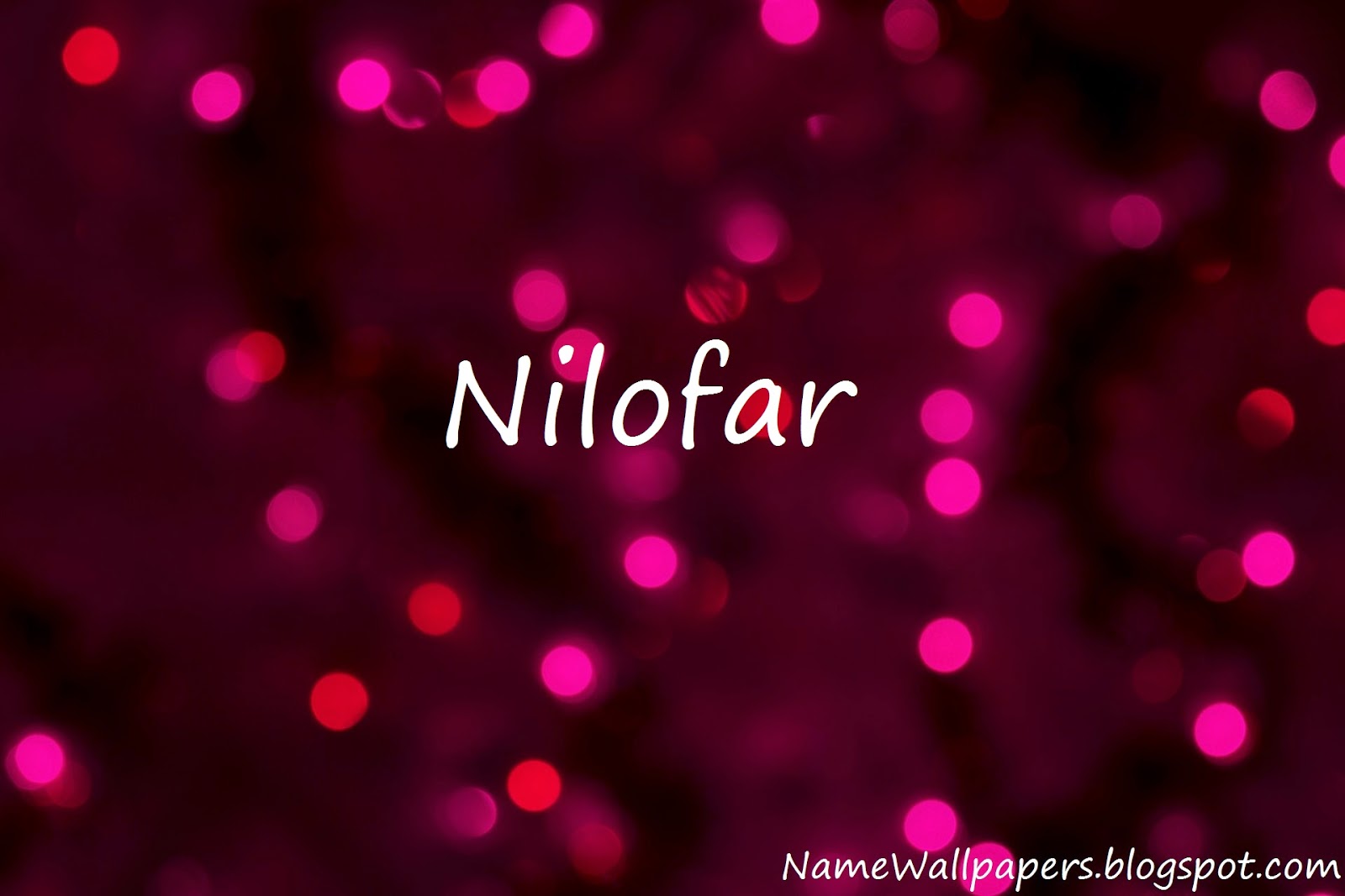 Nilofar Name Wallpapers Nilofar ~ Name Wallpaper Urdu Name Meaning Name Images Logo Signature