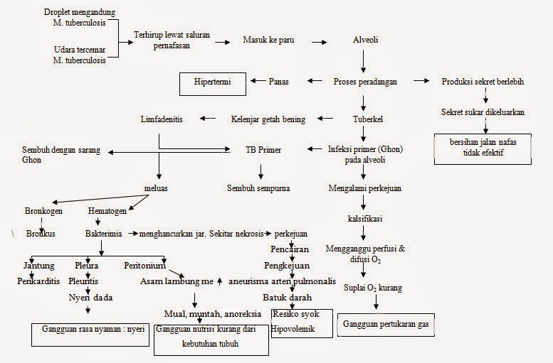 Tugas Kuliah: LP TBC